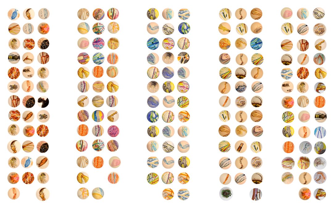 The Beyondness of Bees. An art-science project exploring honey bees ...